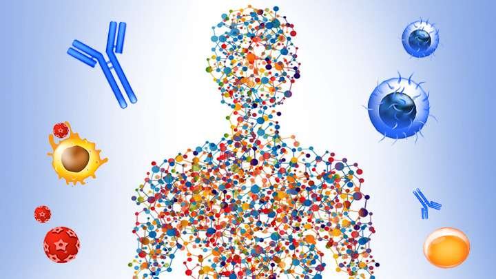 What is Immunity and Why you need to build it to fight against COVID ...